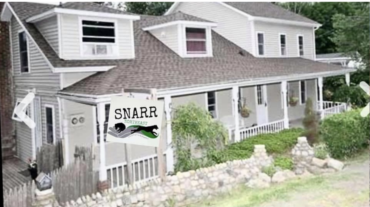 Our Shelter - SNARR Northeast